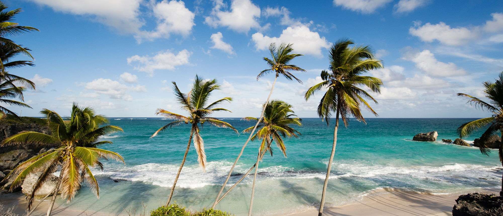 Job offers in Barbados - Expat.com