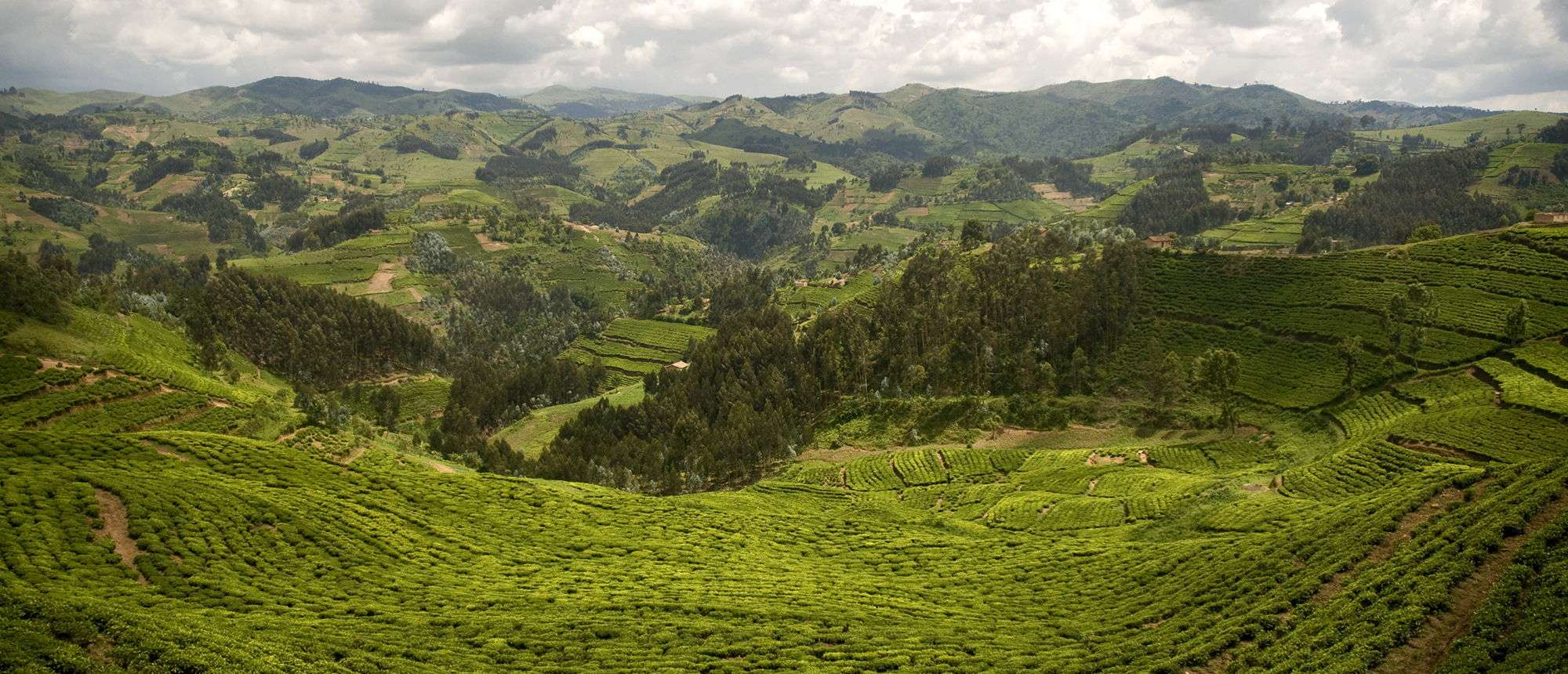 Job offers in Rwanda - Expat.com