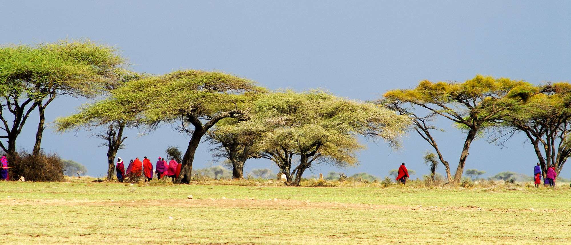 Job offers in Tanzania - Expat.com