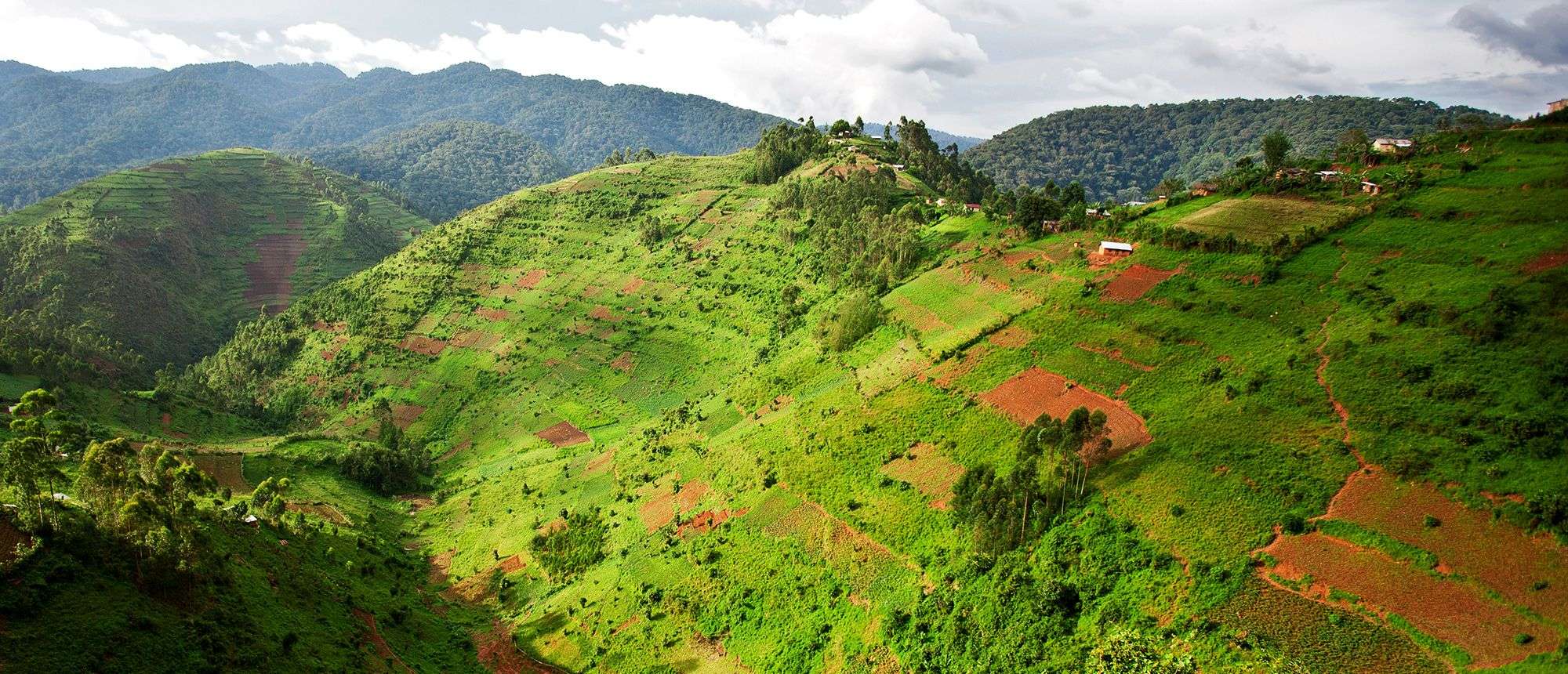 Find your job abroad and international career opportunities - Expat.com