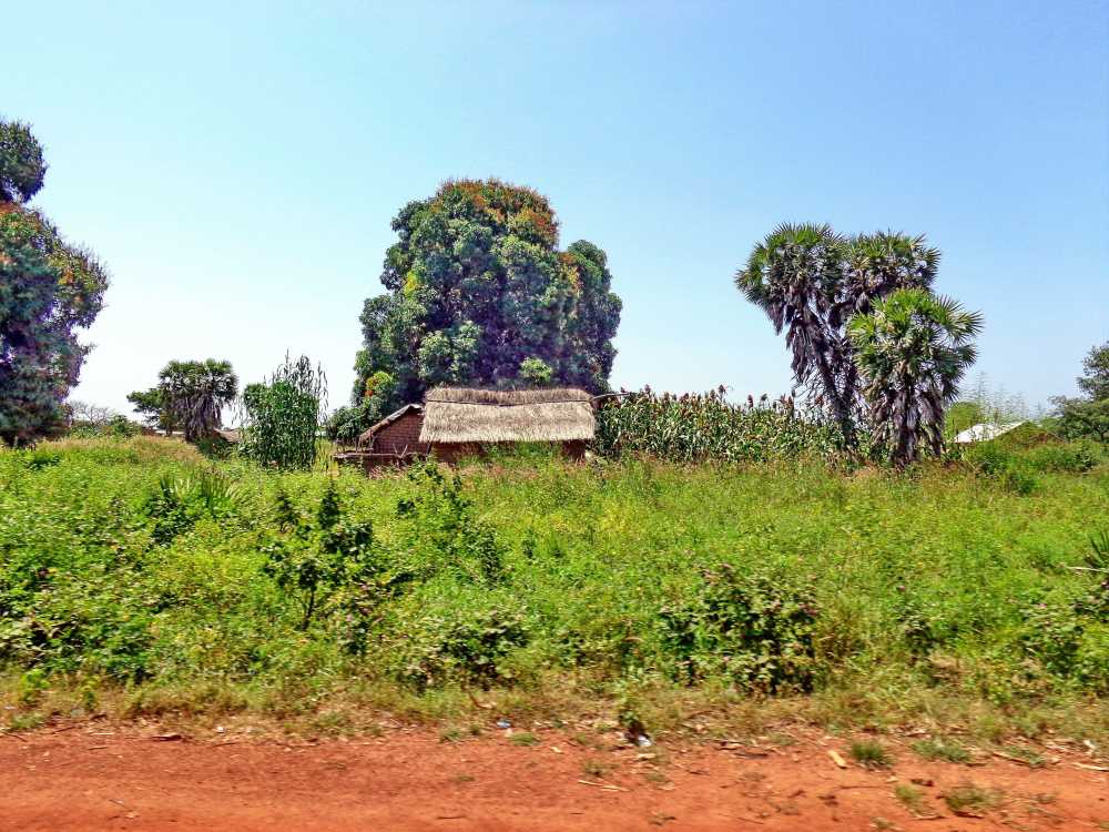 Living in Chad guide: Everything you need to know to move and settle in ...