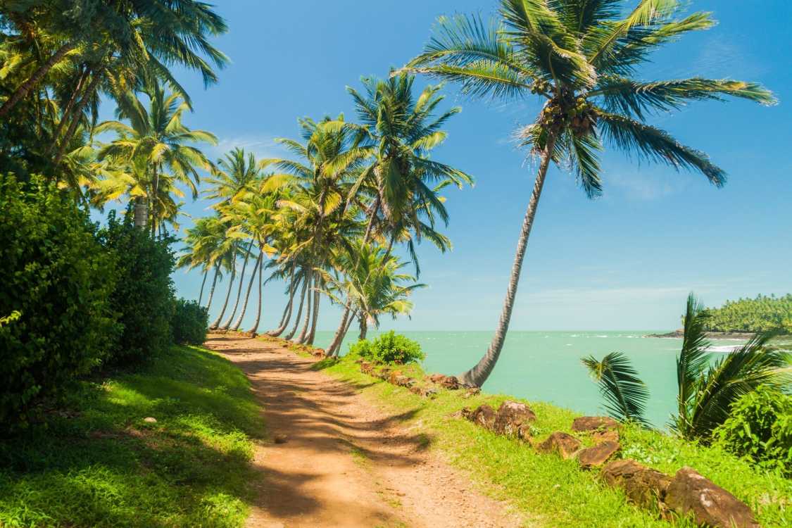 Vivre en Guyane : le guide de l'expatrié - Expat.com