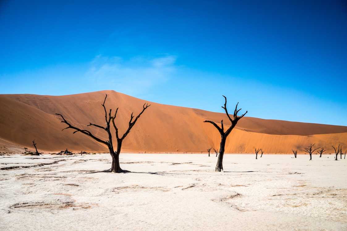 Living in Namibia: the ultimate expat guide - Expat.com