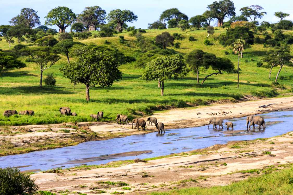 Living in Tanzania guide: Everything you need to know to move and ...