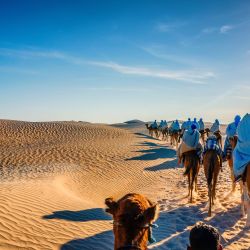 Expat.com, the expatriate community