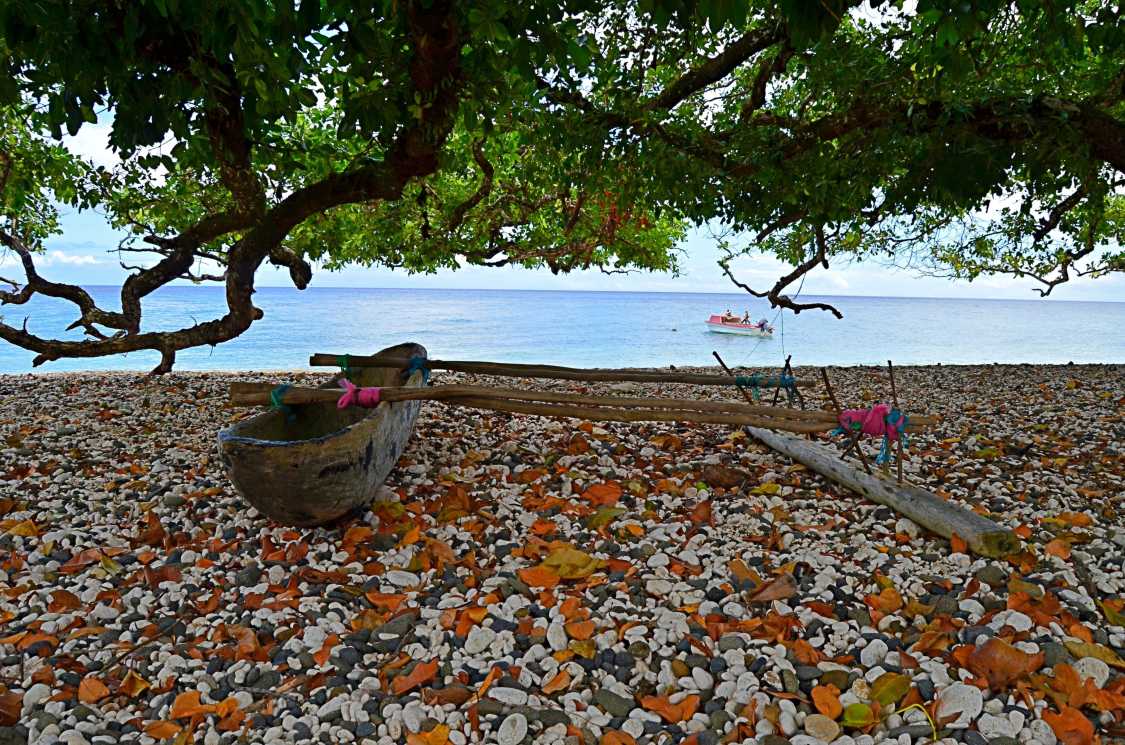 Living in Vanuatu guide: Everything you need to know to move and settle ...