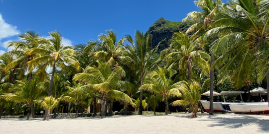 Moving to Samoa guide