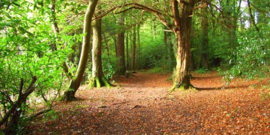 Moving to Ireland guide