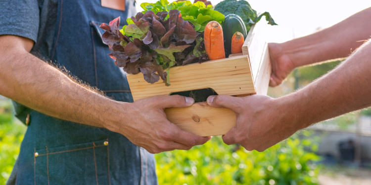 What are the 54 new professions that could get you into Australia?