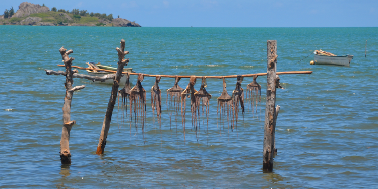 New highlights from the week of October 9 in Mauritius