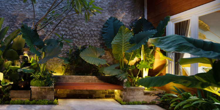 Our practical guide to gardening in Mauritius!