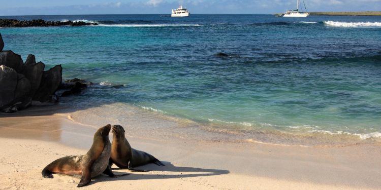 Ecuadorian lifestyle: Ama la vida - Ecuador Guide - Expat.com