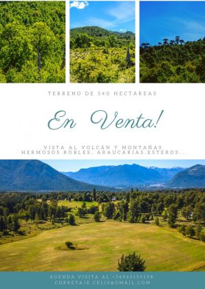 Living in Chile guide