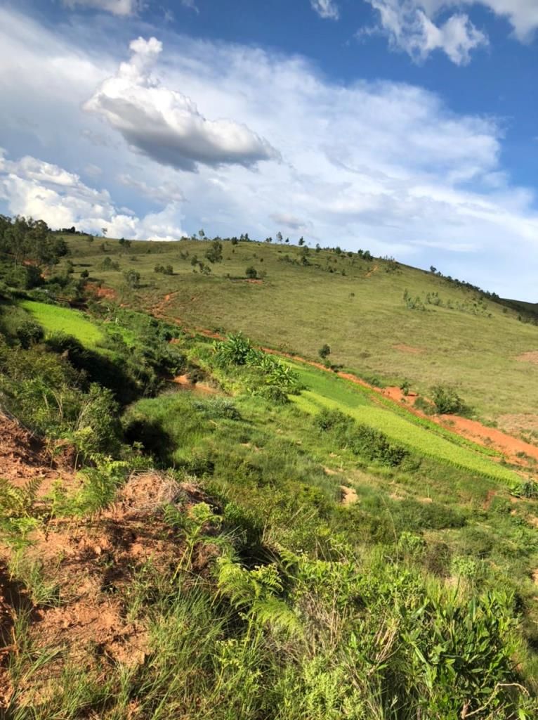 Large Land in Ivato Croc-Farm Antananarivo 238HA for $USD 6,000,000 ...
