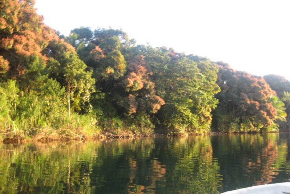 Beautiful river frontage lots on sittee river, Land for sale Sittee ...