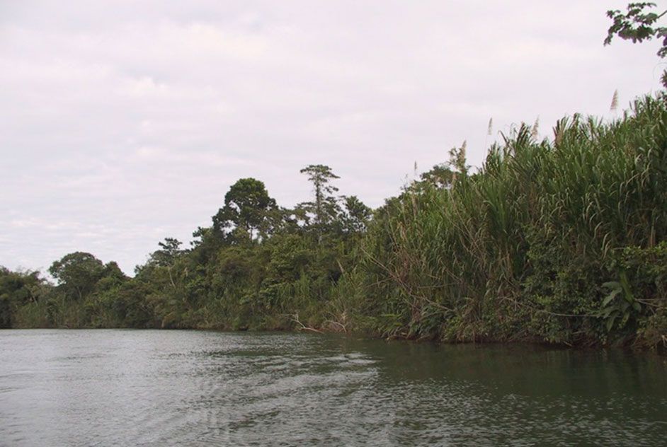 Magnifiques lots de façade sur la rivière sittee, Terrain à vendre ...