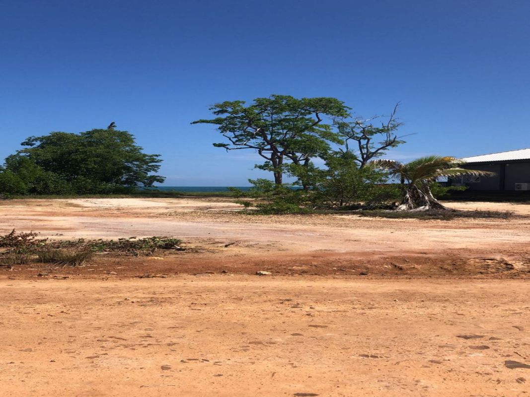 Lote frente al mar en venta en sittee point, hopkins, Terreno en venta ...