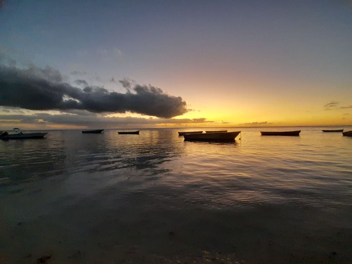 recherche colocataire , Maison en colocation Ile Maurice - Expat.com