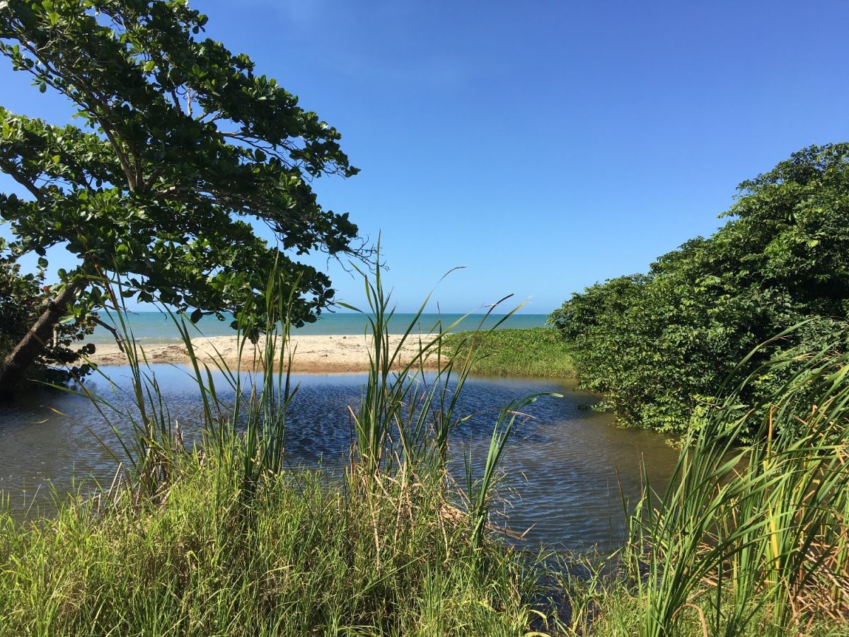Direct beachfront for sale balfate honduras, Land for sale Balfate ...