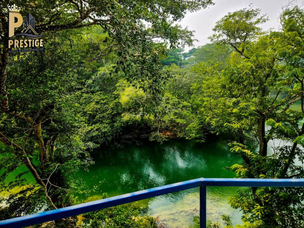 River house, suites de luxe, bullet tree cayo, belize, Maison à vendre ...