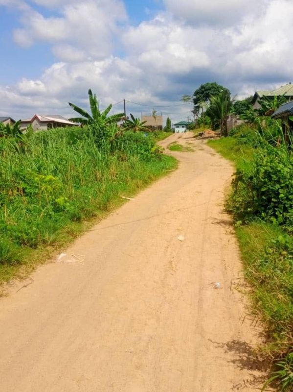 Land for sale , Cameroon - Expat.com