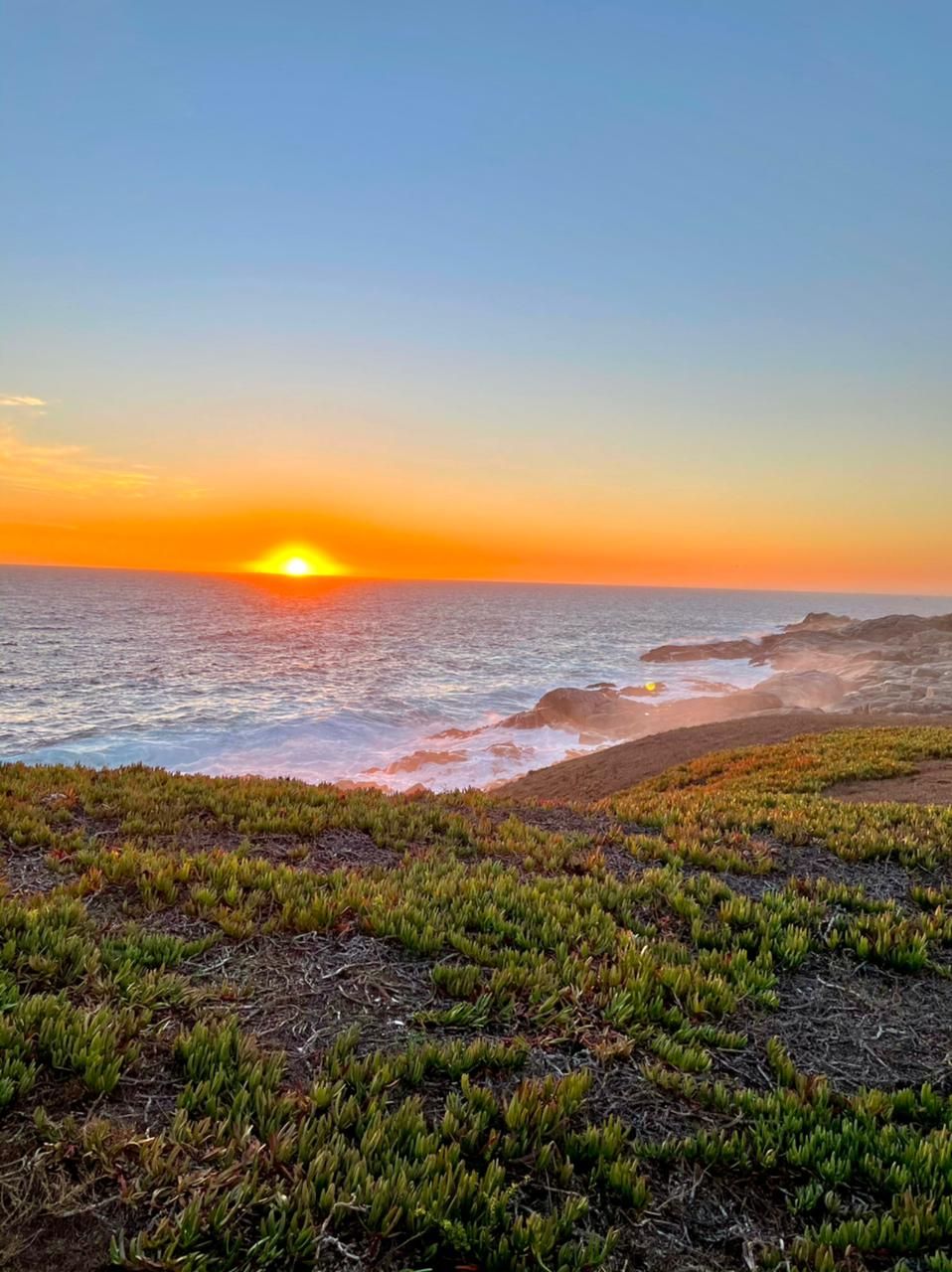 Exclusive 5000m² Seafront Parcel with Stunning Ocean Views in Chile ...