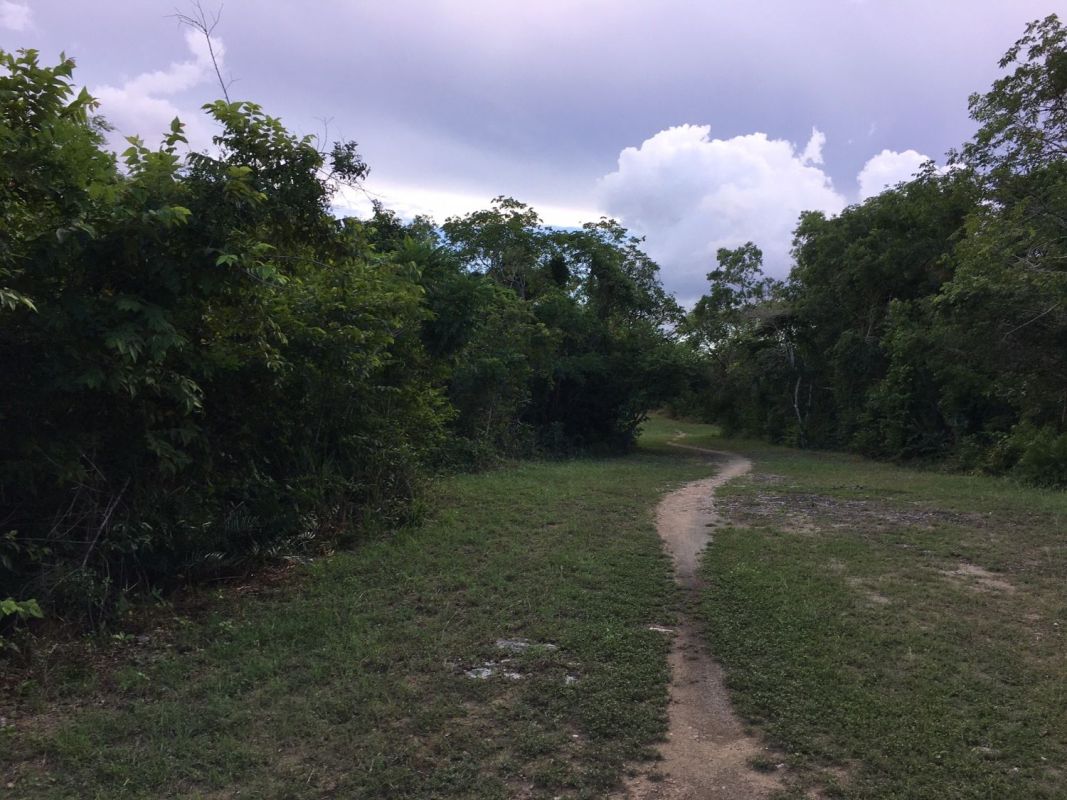 Terrenos edificables en la república dominicana, Terreno en venta - Expat.com