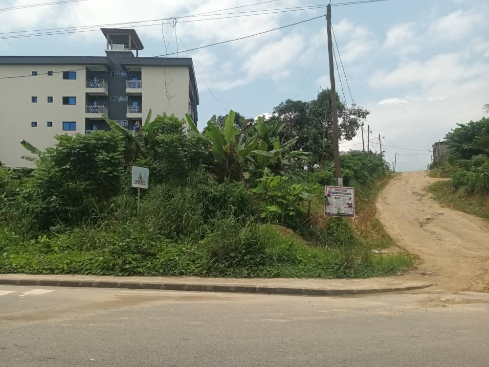 Terrain titré à vendre au Cameroun à yassa carrefour matango sur le ...